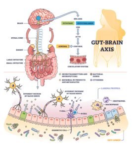 Gut Health 101: 10 Science-Backed Gut-Healing Foods